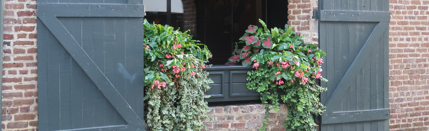 Building an SAP Analytics Cloud Dashboard with SAP S/4HANA Cloud Data